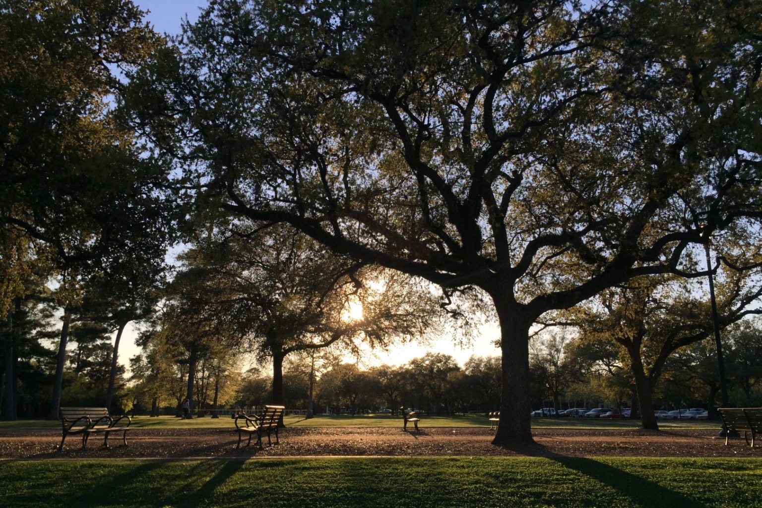 The Area – Bandera Star